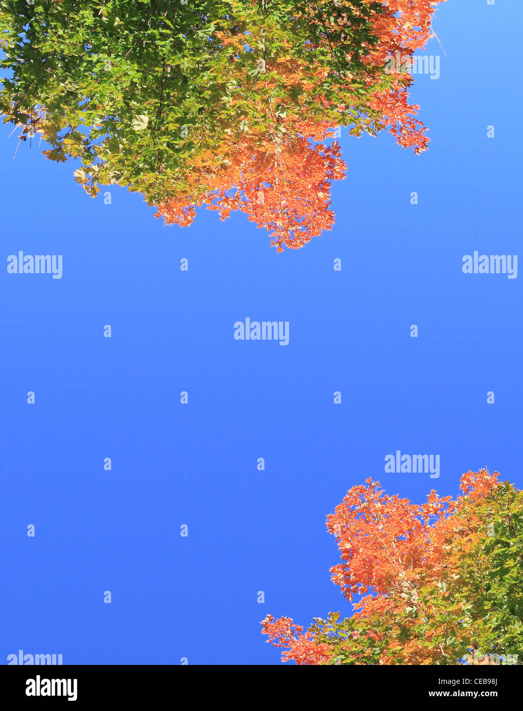 autumn sky background Stock Photo - Alamy