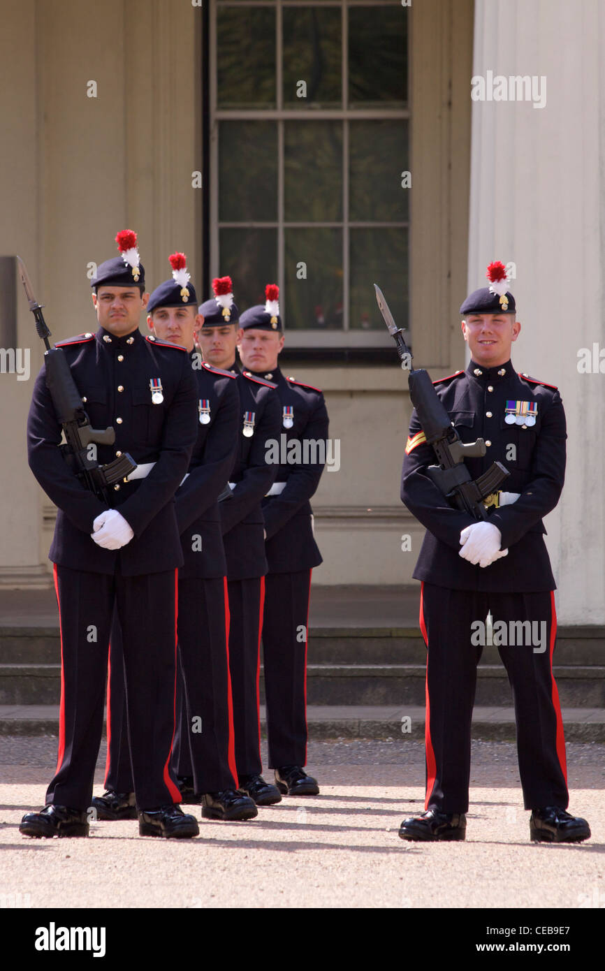 Striped fusiliers hi-res stock photography and images - Alamy