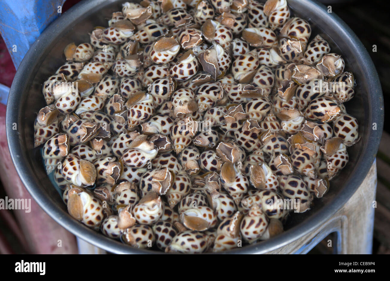 Shellfish stall hi-res stock photography and images - Alamy