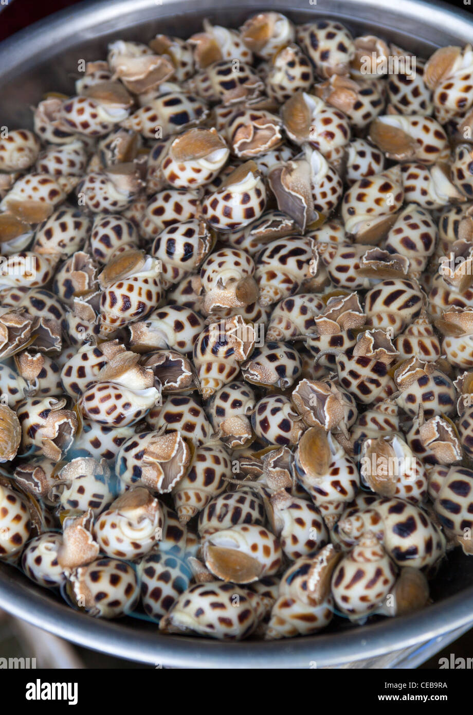 Vietnamese shellfish hi-res stock photography and images - Alamy