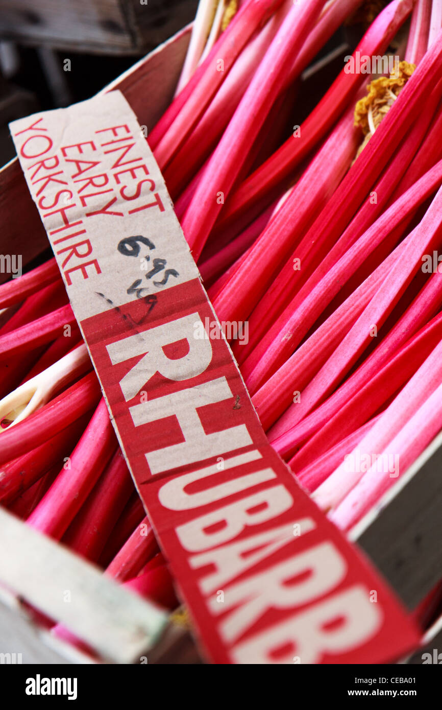 Early Season English Rhubarb Stock Photo - Alamy
