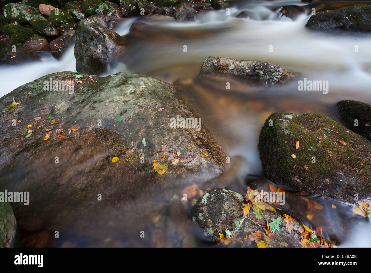 River Dart at Shaugh Prior, Devon Stock Photo - Alamy