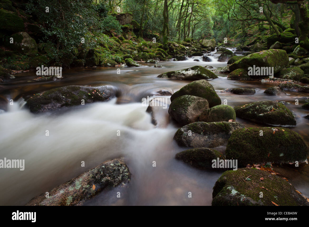 River Dart at Shaugh Prior, Devon Stock Photo - Alamy