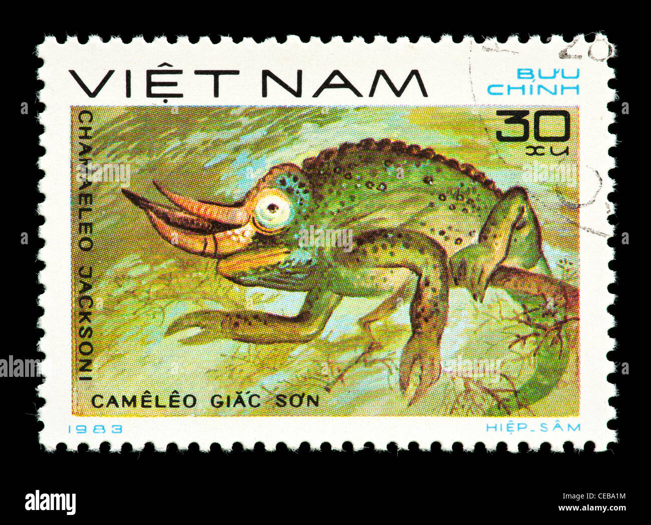 Postage stamp from Vietnam depicting Jackson's chameleon (Chamaeleo ...