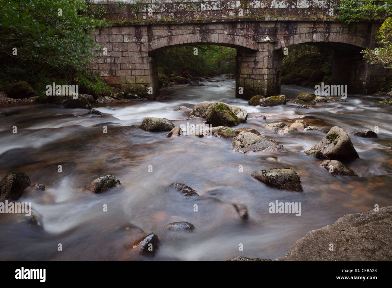 Shaugh prior hi-res stock photography and images - Alamy