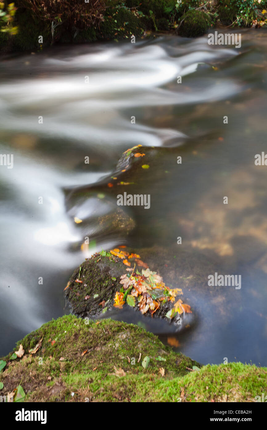 River Dart at Shaugh Prior, Devon Stock Photo - Alamy