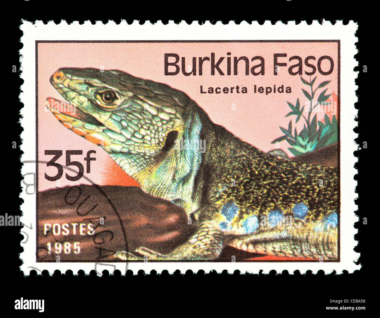 Postage stamp from Burkina Faso depicting an Ocellated lizard (Lacerta ...