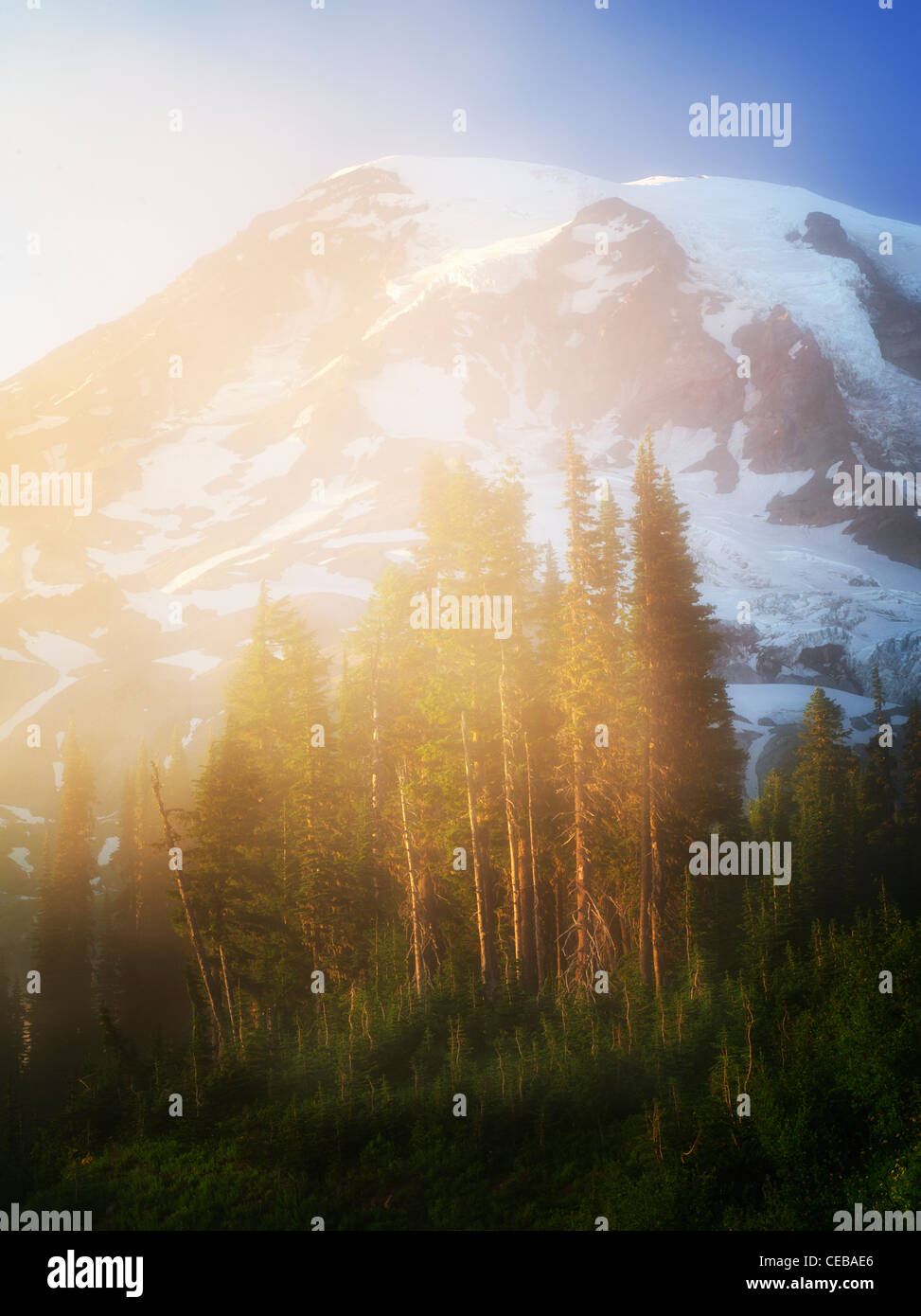 Mt rainier mt rainier hi-res stock photography and images - Alamy