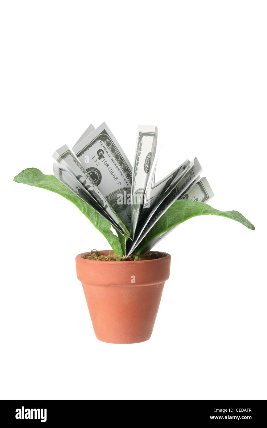 Pot Plant with Dollar Notes Stock Photo - Alamy