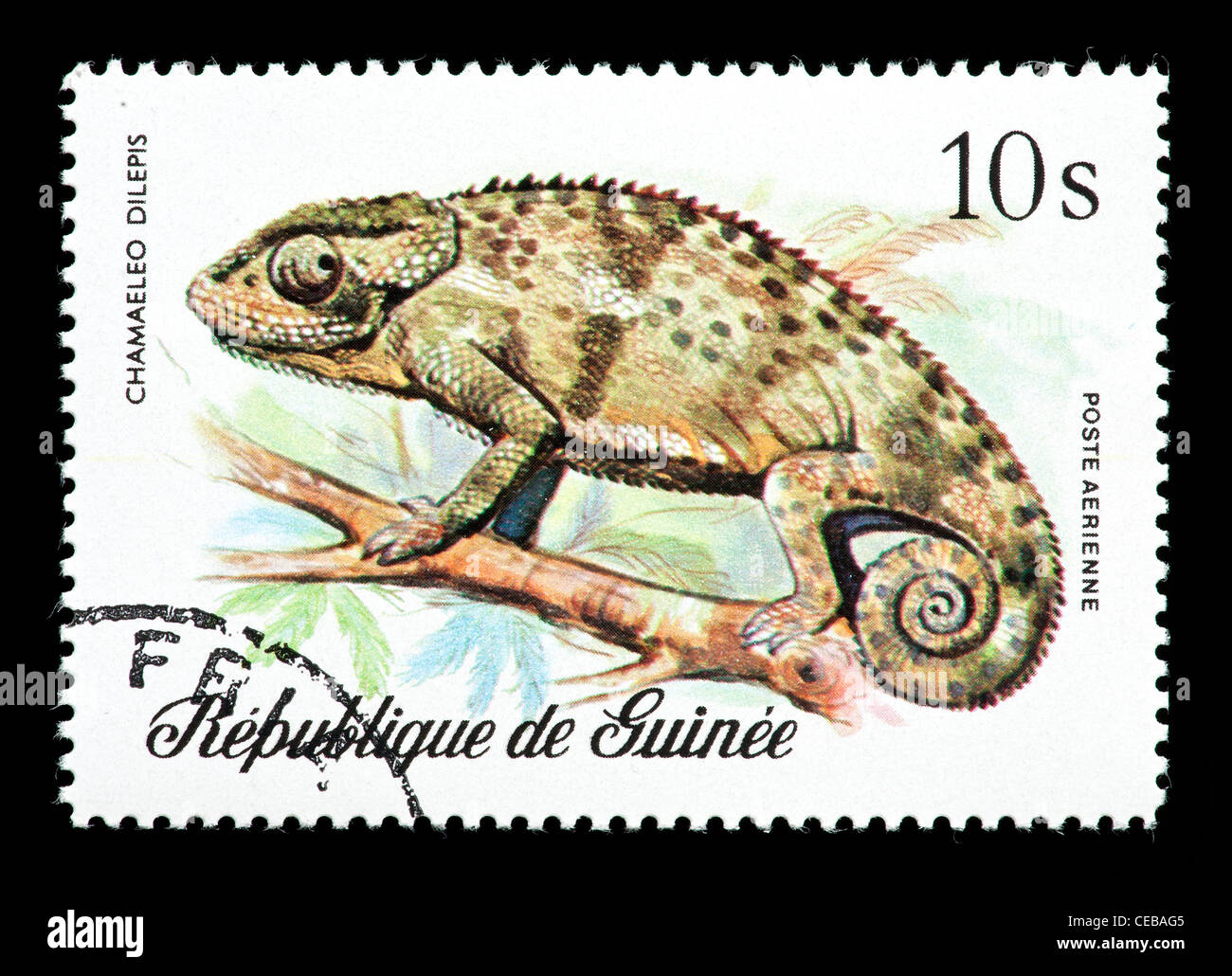 Postage stamp from the Guinea Republic depicting a Flap-necked ...