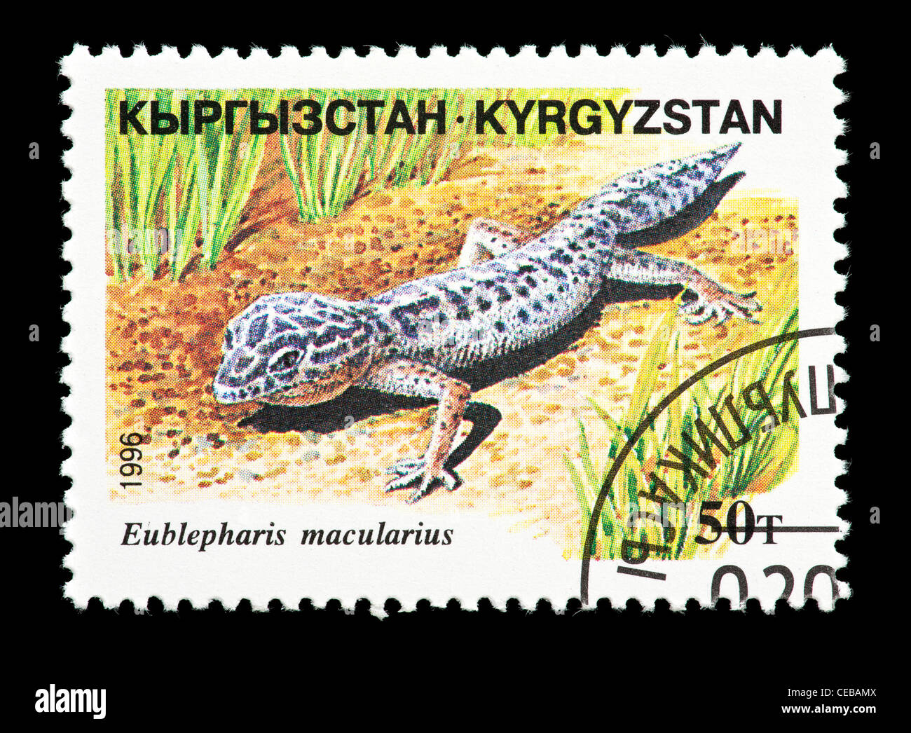 Postage stamp from Kazakhstan depicting a small lizard (Eublepharis ...