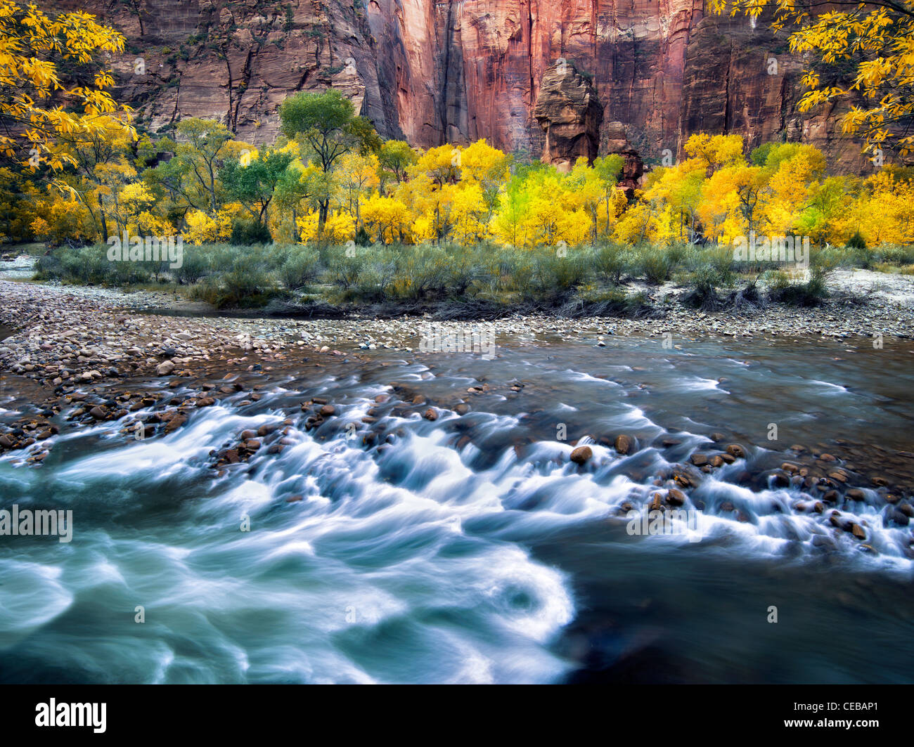 The Pulpit and fall color with the Virgin River at the Temple of ...