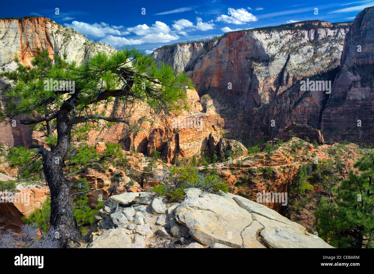 Angles landing hike hi-res stock photography and images - Alamy