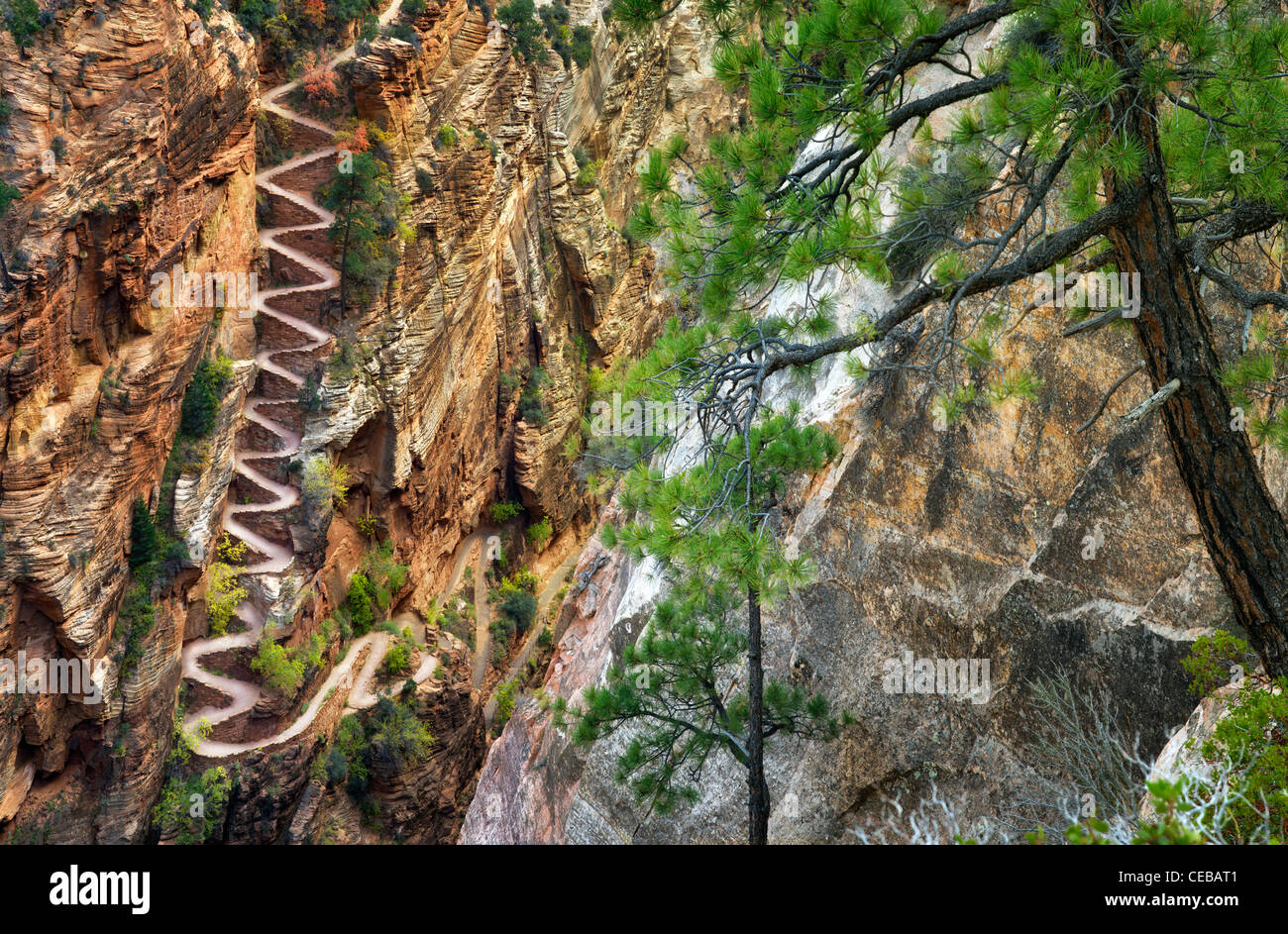 Walter's Wiggles. Zion National Park, Utah Stock Photo - Alamy