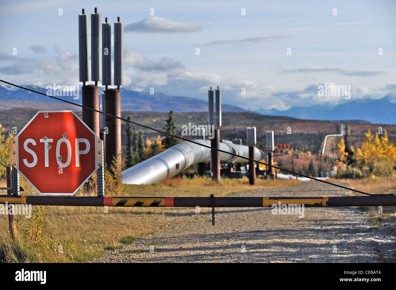 Trans-Alaska oil pipeline with stop sign and closed gate, Alaska, US ...