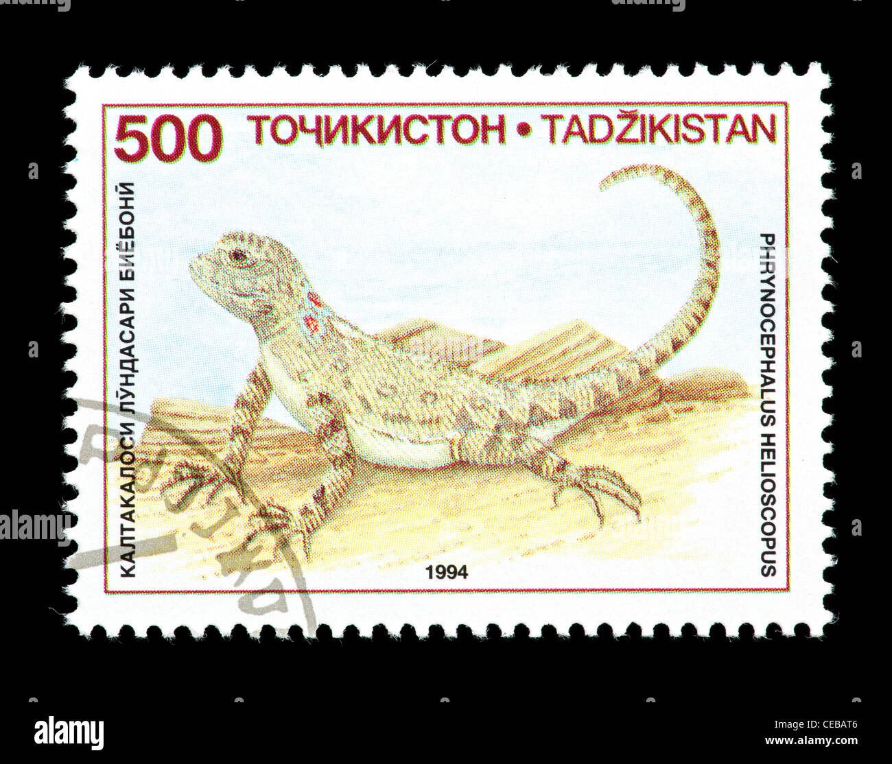 Postage stamp from Tajikistan depicting a small lizard (Phrynocephalus ...