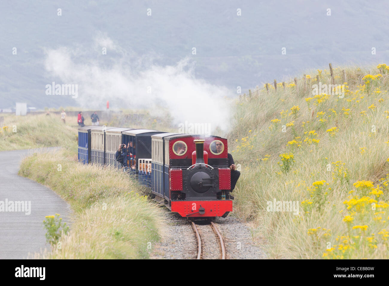 A red steam locomotive on the Fairbourne Steam Railway Stock Photo - Alamy