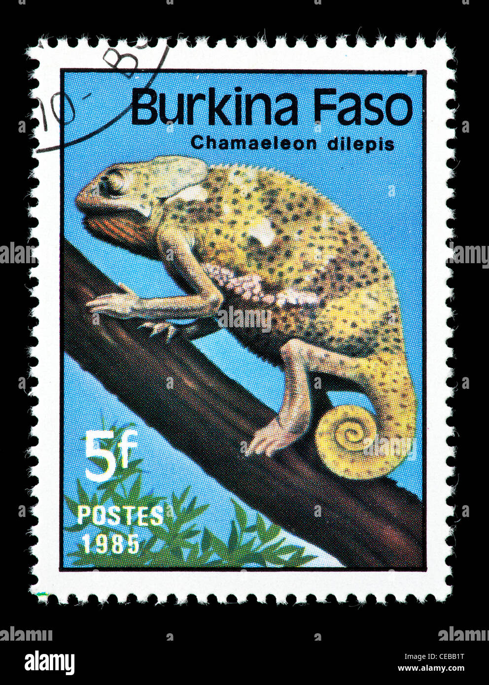 Postage stamp from Burkina Faso depicting a chameleon (Chamaeleon ...