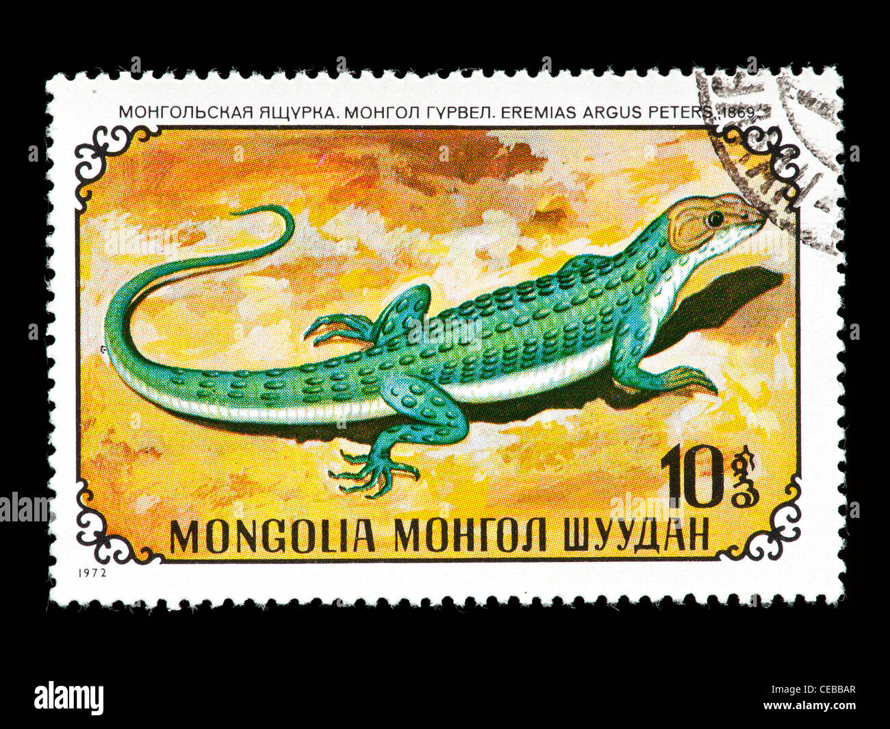 Slow lizard hi-res stock photography and images - Alamy