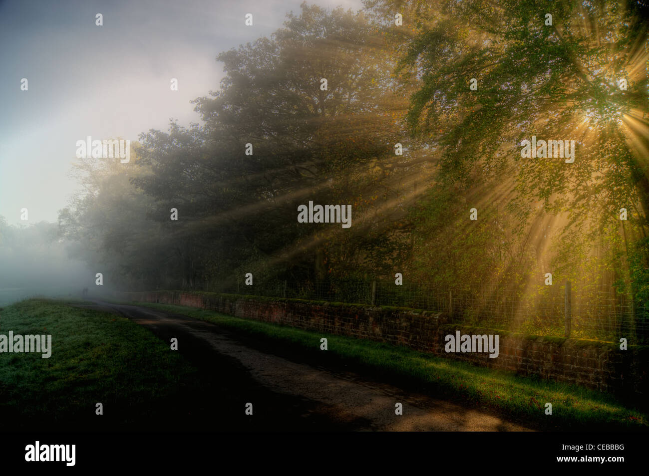 High Dynamic Range photo of Sun rays on an Autumn morning Stock Photo ...