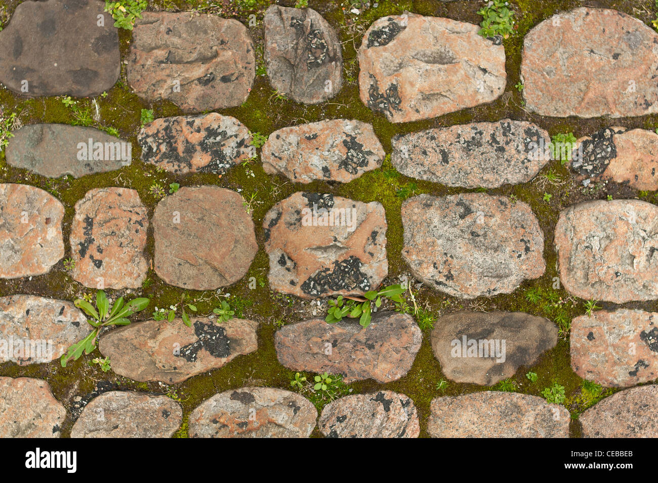 Rough cobblestone pavement moss texture hi-res stock photography and ...