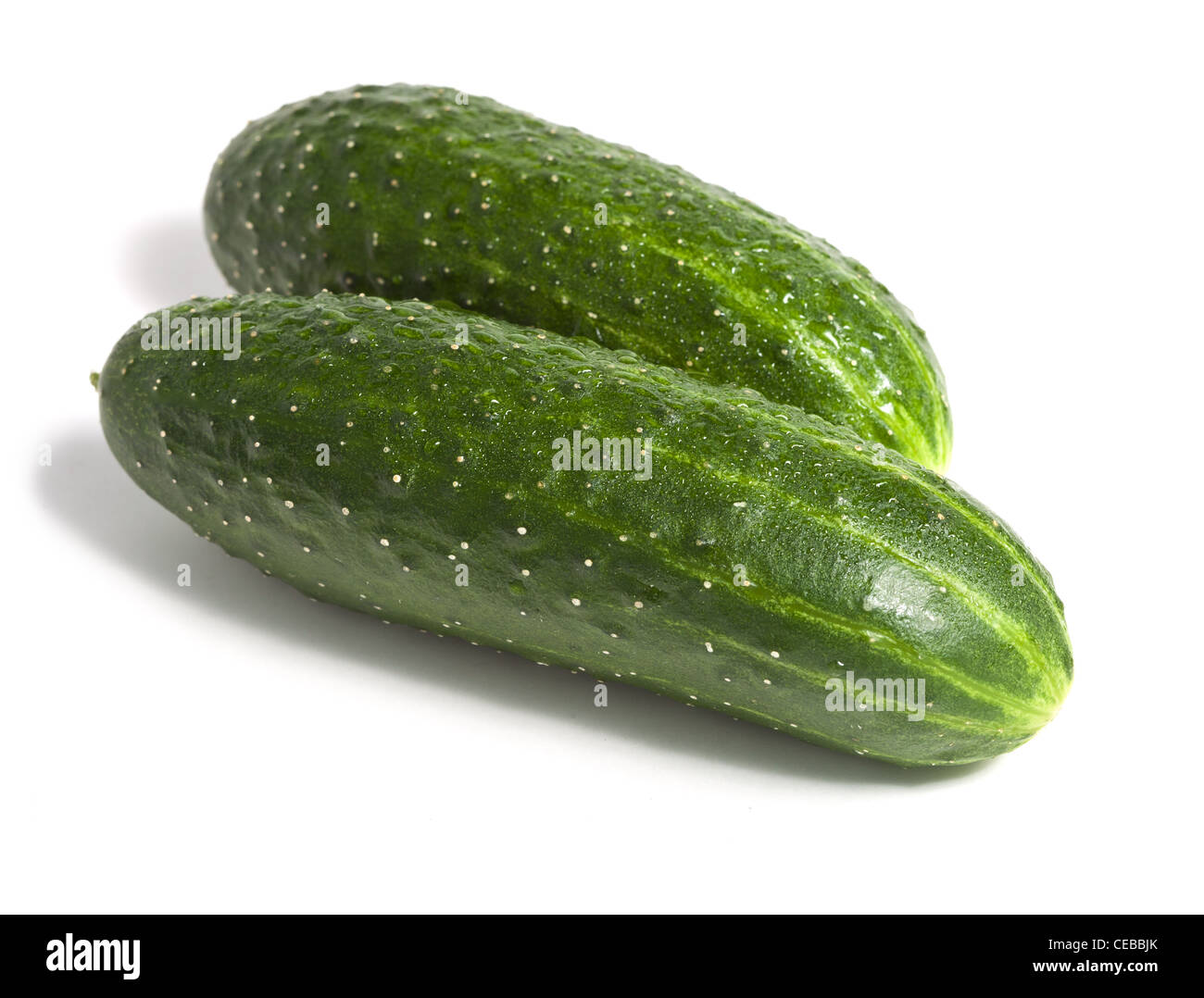 Two cucumbers on white background with shadow Stock Photo - Alamy