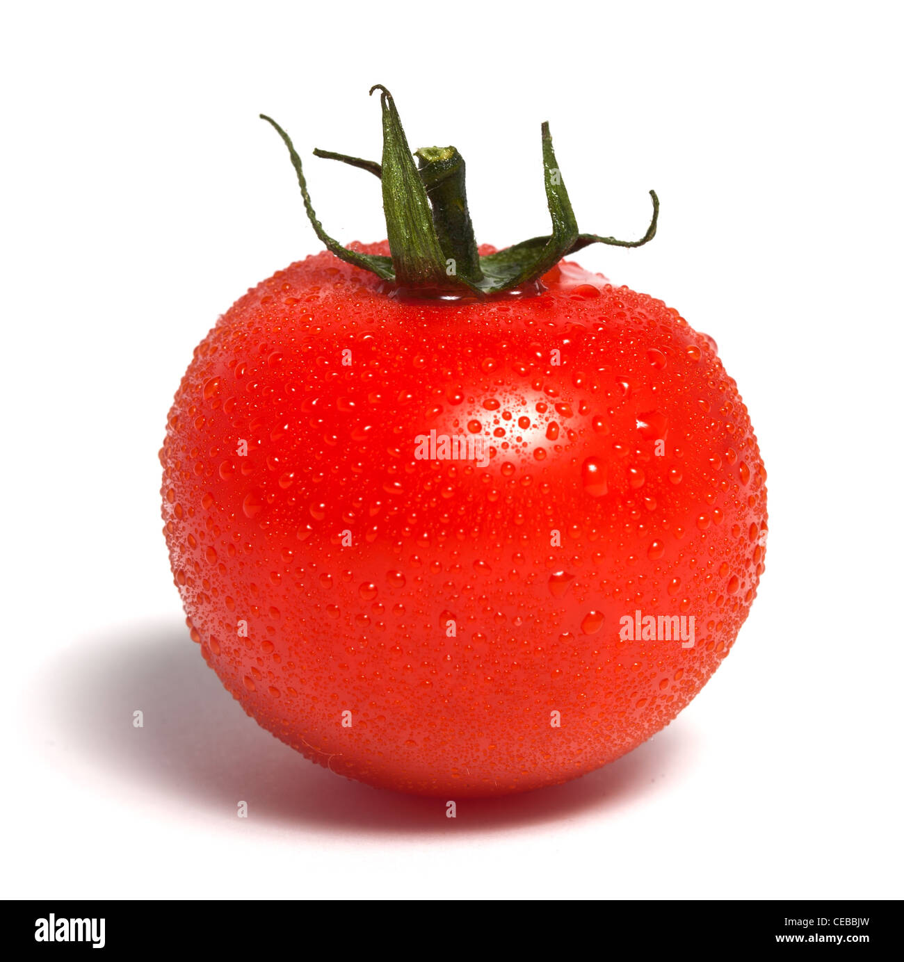 Single red tomato with water drops on white background Stock Photo - Alamy