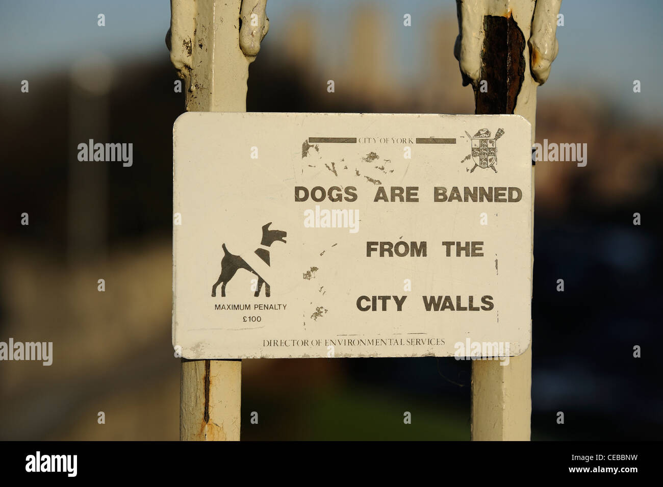 dogs are banned from the city walls sign york uk Stock Photo - Alamy