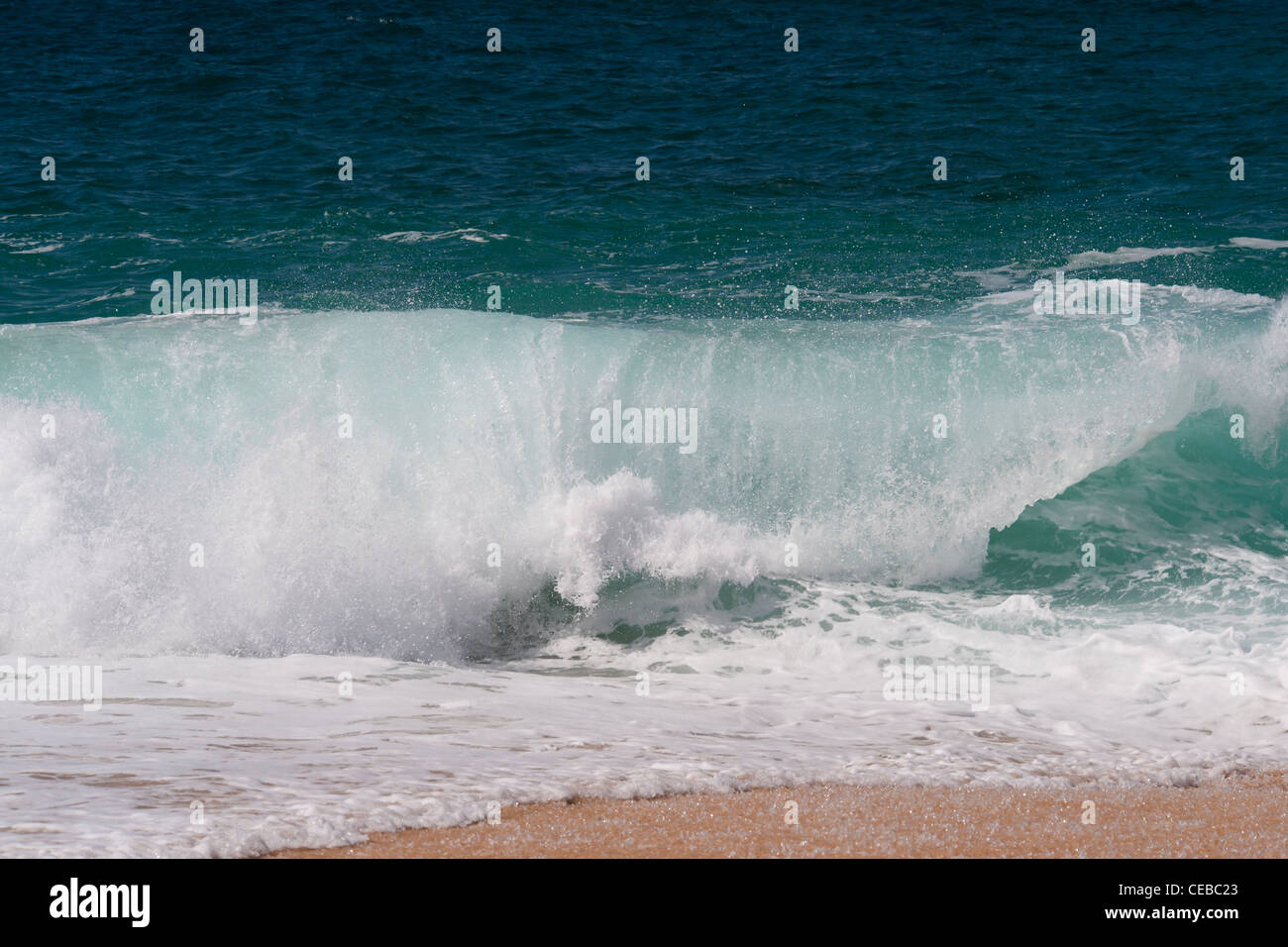 Wave at the north shore hi-res stock photography and images - Alamy