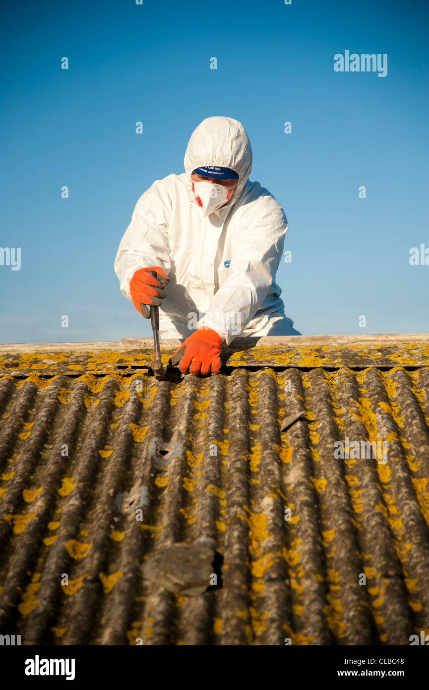 A workman wearing protective clothing and facemask removing asbestos ...