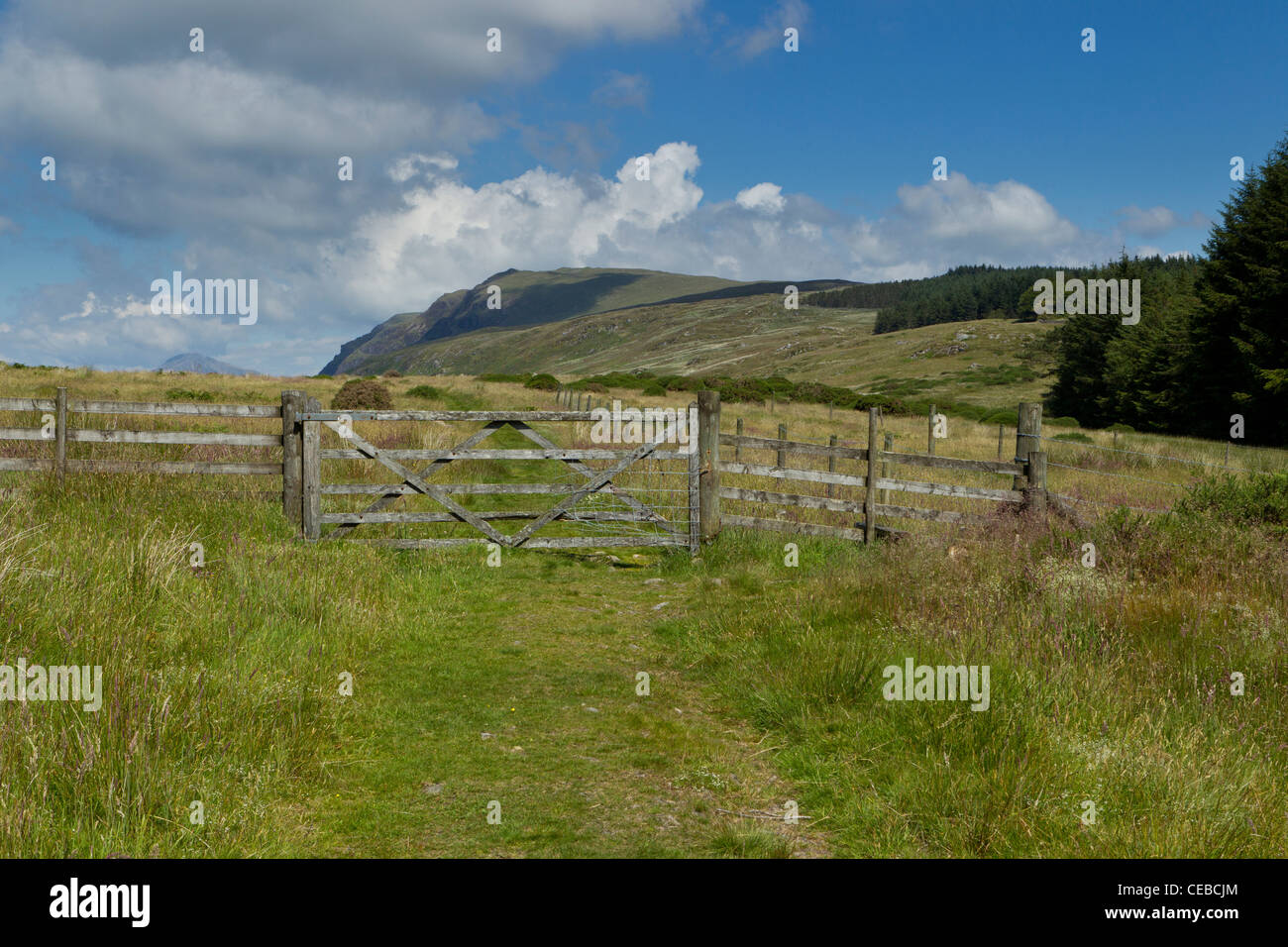 Fell landscape hi-res stock photography and images - Alamy