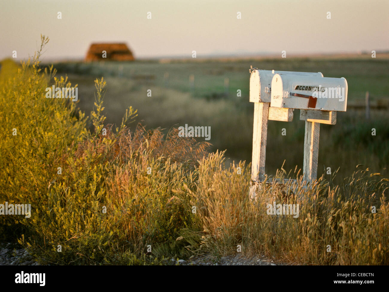 Rural mailboxes (letterbox), Montana, USA Stock Photo - Alamy