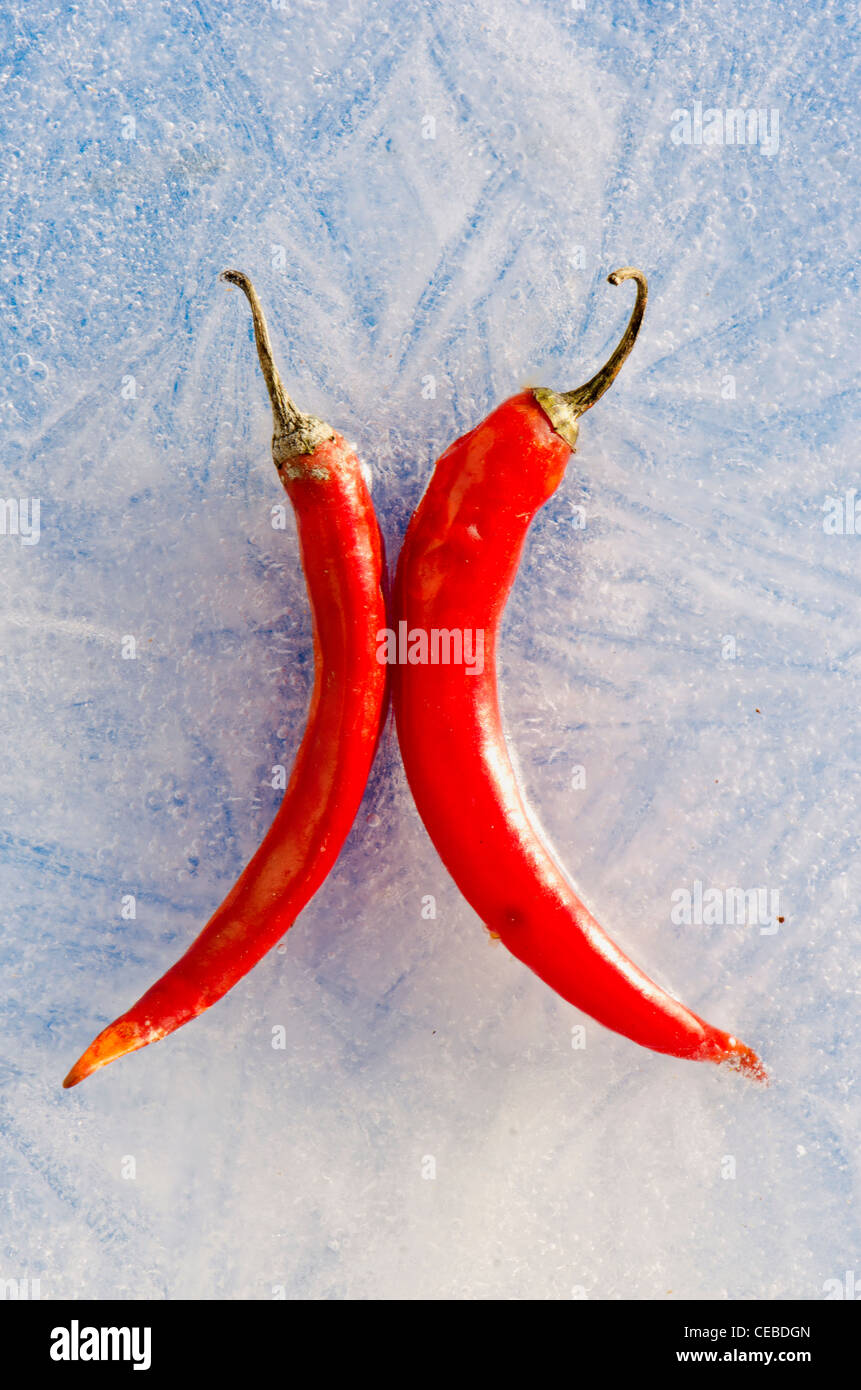 Red chilli in ice hi-res stock photography and images - Alamy