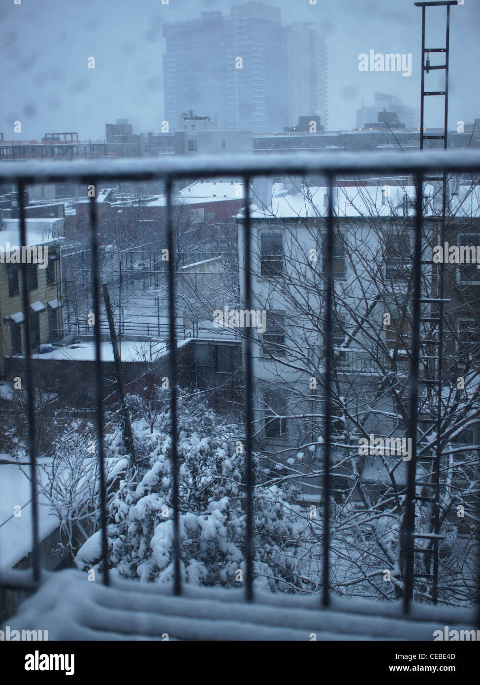Snowstorm through window, Brooklyn, New York Stock Photo - Alamy