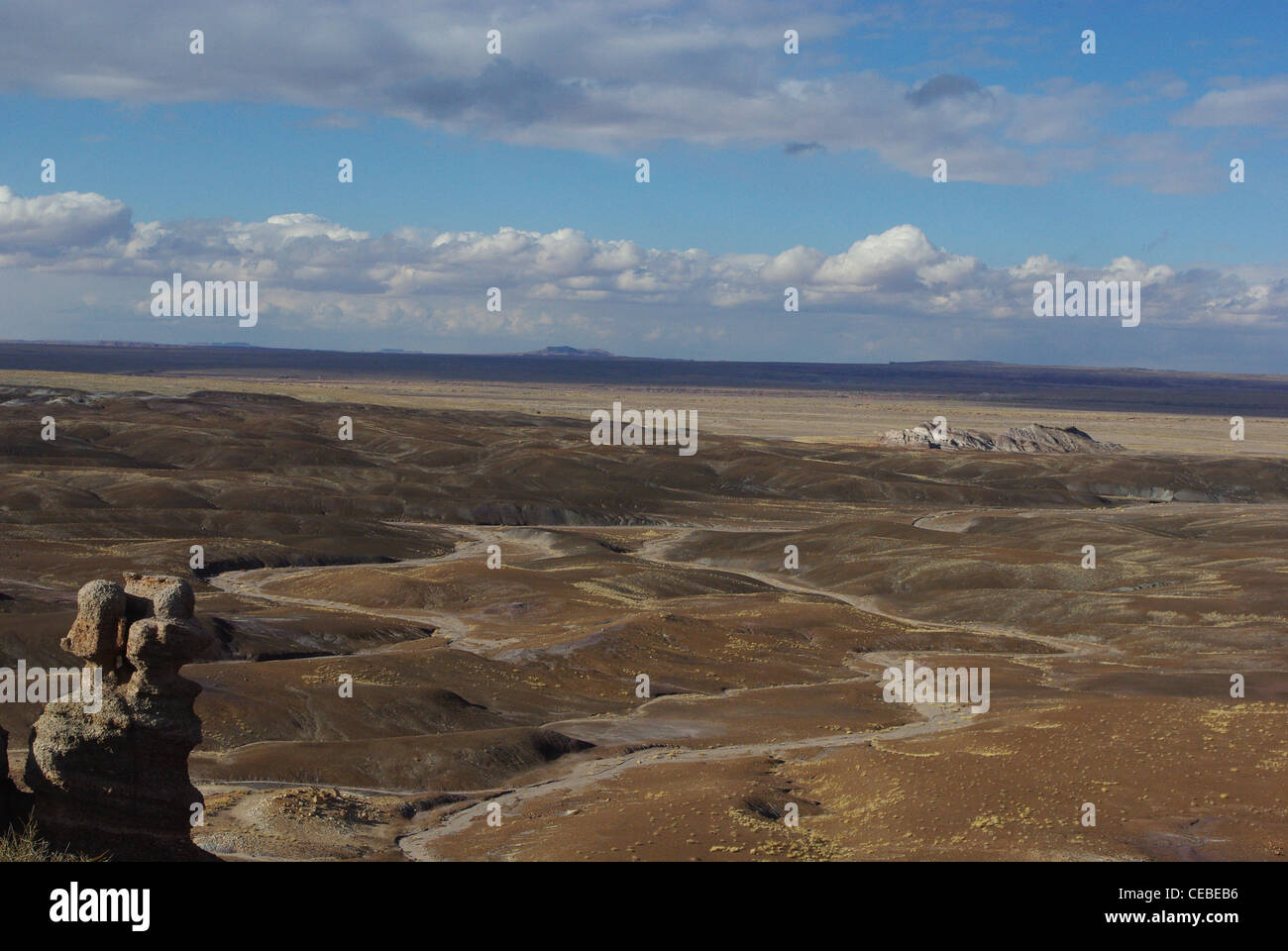 Wide view of Petrified Forest National Park and dispersed mountain ...