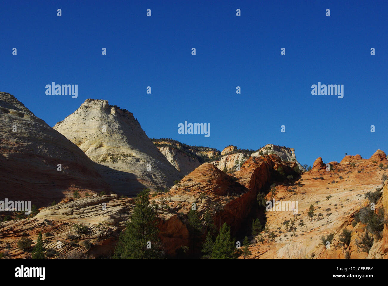 Round layered rock hills and mountains in Zion National Park, Utah ...