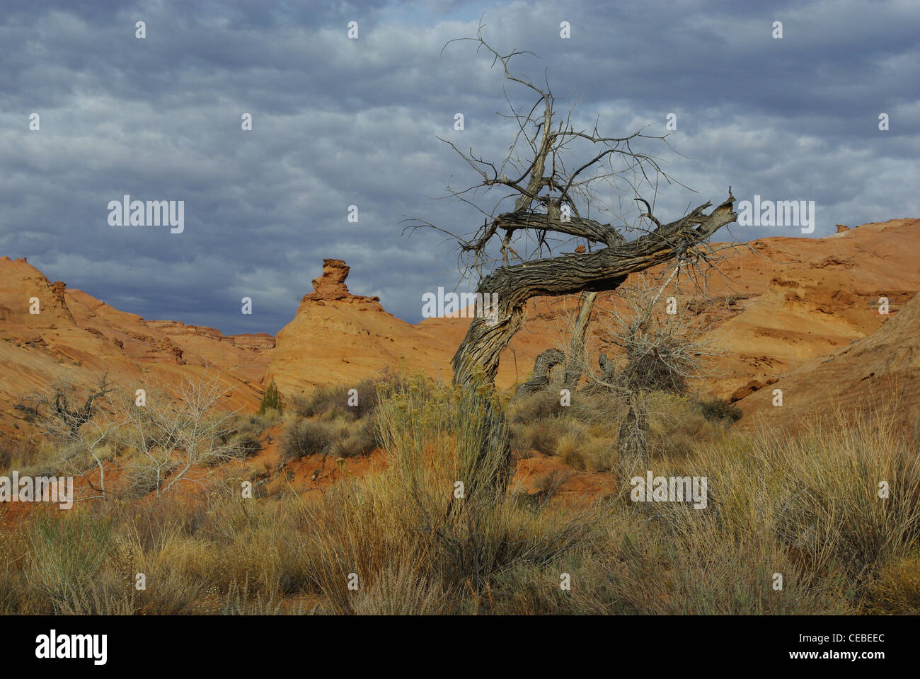 Dry bush rock formation hi-res stock photography and images - Alamy