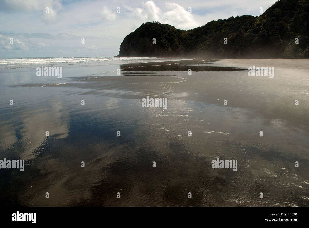 Piha Beach, North Island, NZ Stock Photo - Alamy