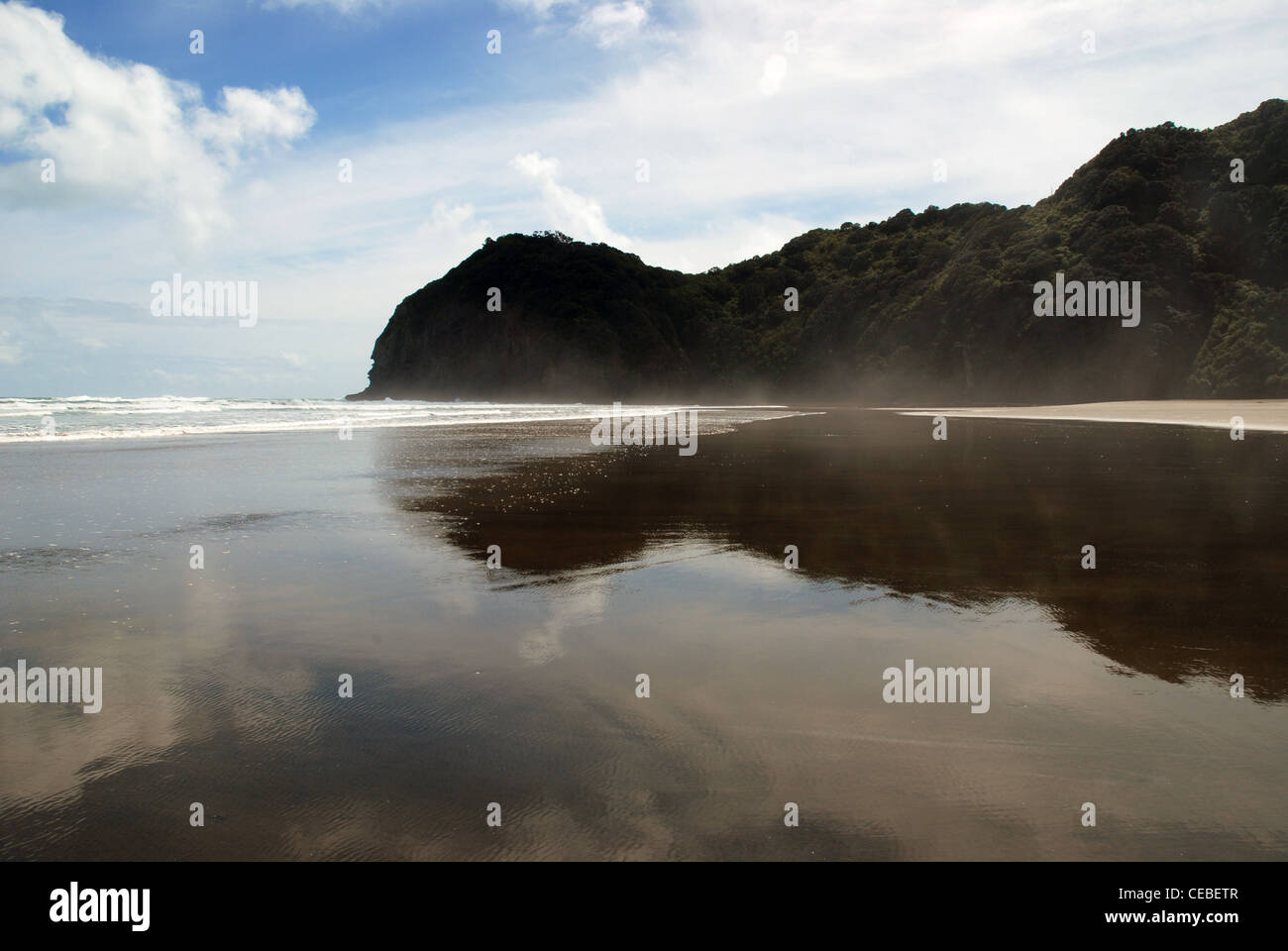 Piha Beach, North Island, NZ Stock Photo - Alamy