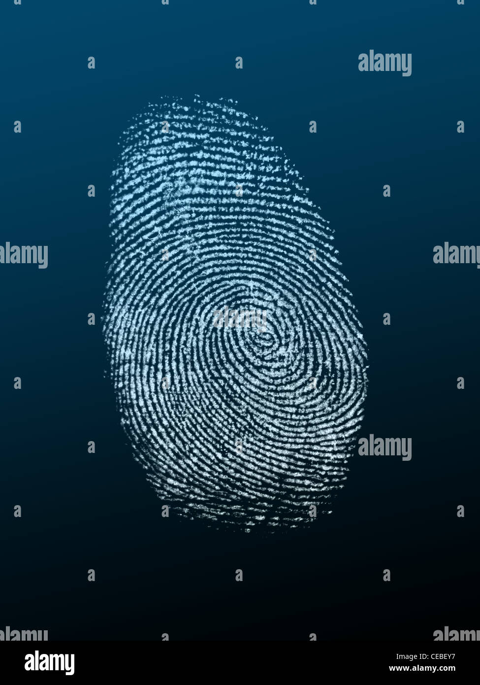 A finger print isolated against a white background Stock Photo - Alamy