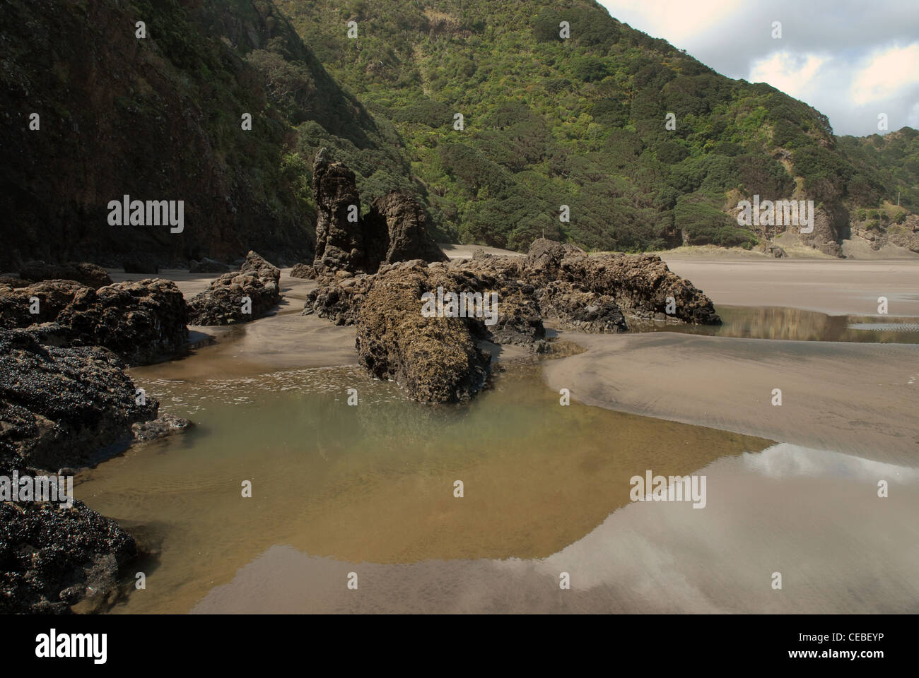 Piha Beach, North Island, NZ Stock Photo - Alamy