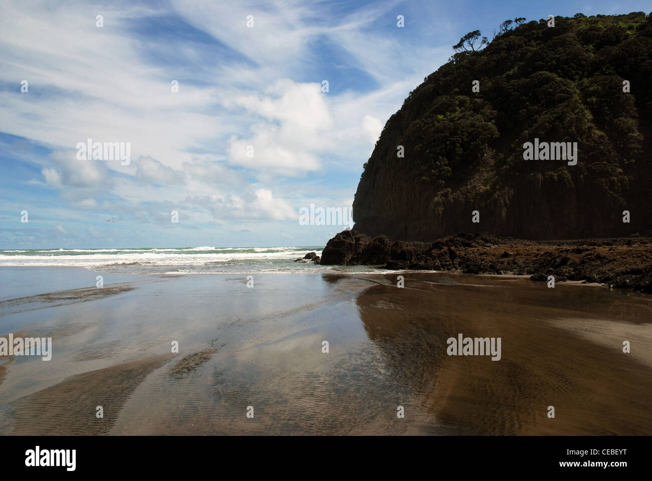 Piha Beach, North Island, NZ Stock Photo - Alamy