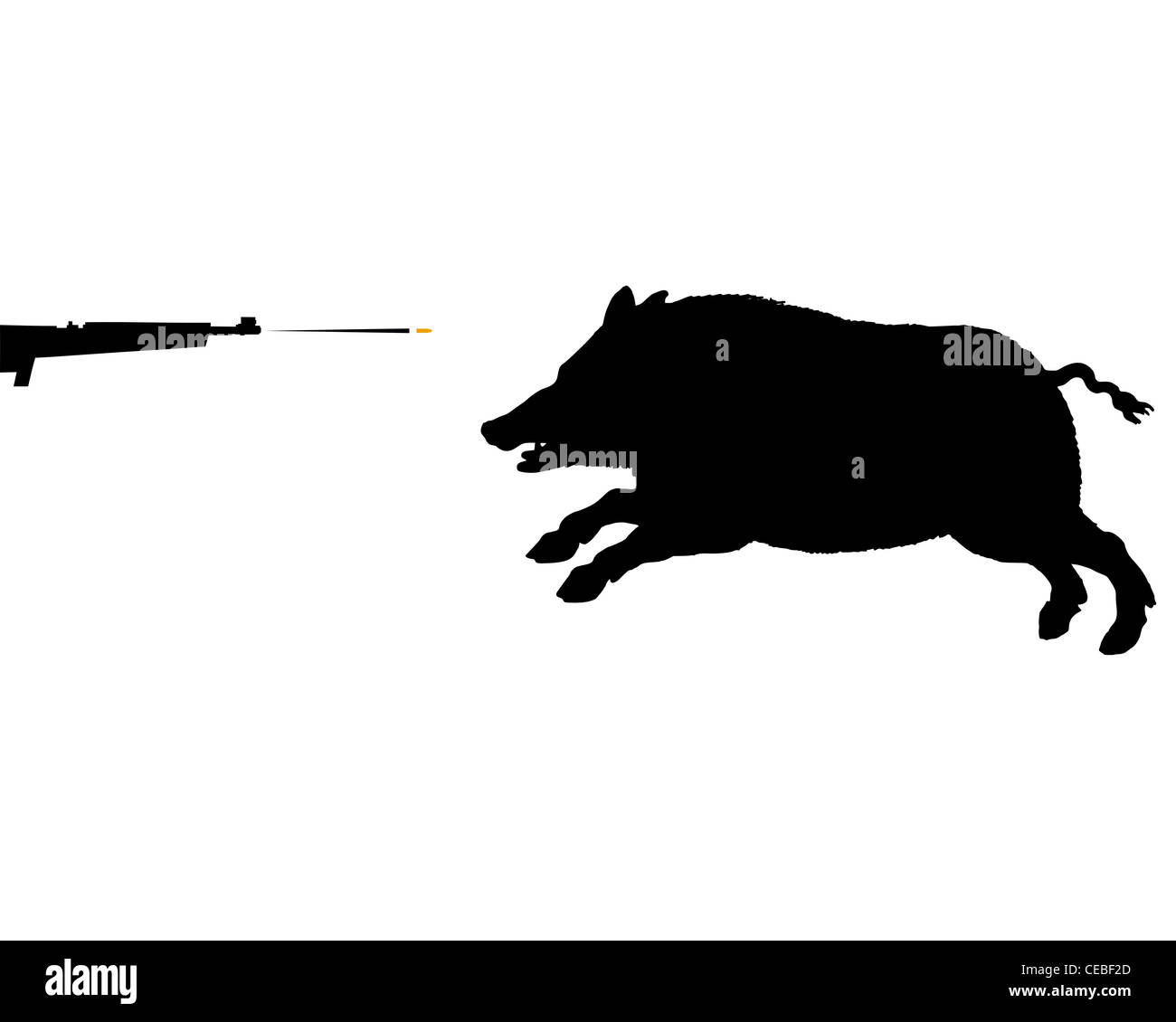 Hunt wild boar pig Black and White Stock Photos & Images - Alamy