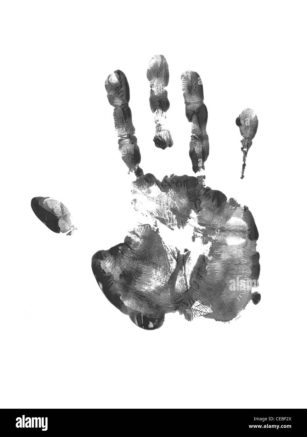Hand prints on a white background Stock Photo - Alamy