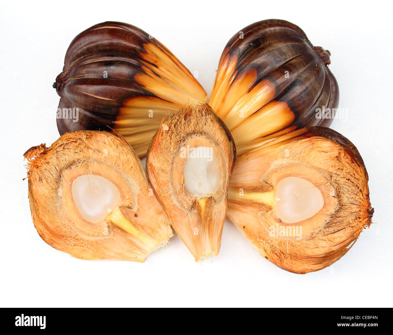 Group of atap seeds on white background Stock Photo - Alamy