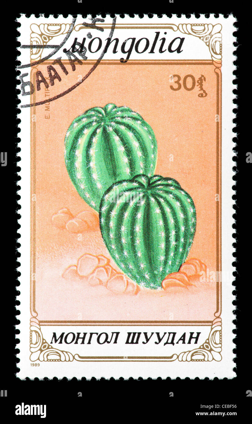 Postage stamp from Mongolia depicting a cactus Stock Photo - Alamy