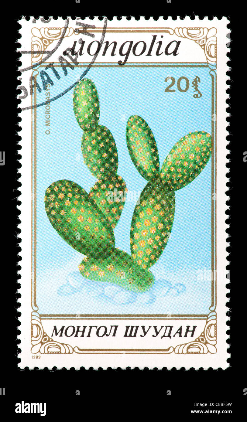 Postage stamp from Mongolia depicting a cactus Stock Photo - Alamy