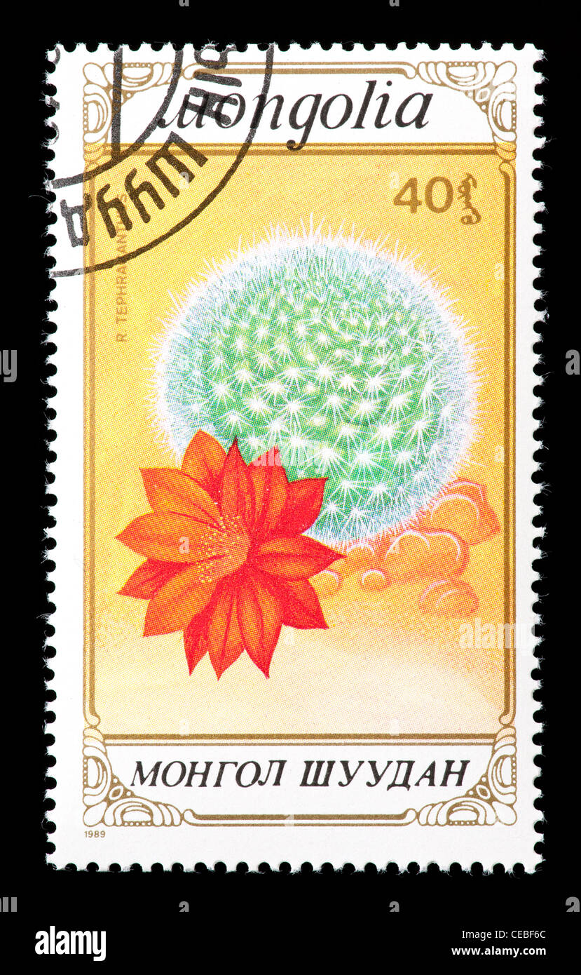 Postage stamp from Mongolia depicting a cactus Stock Photo - Alamy