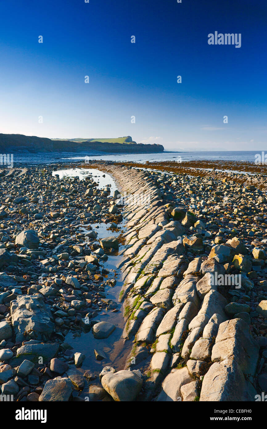 Dramatic blue lias rock strata on the beach at Kilve on the Bristol ...