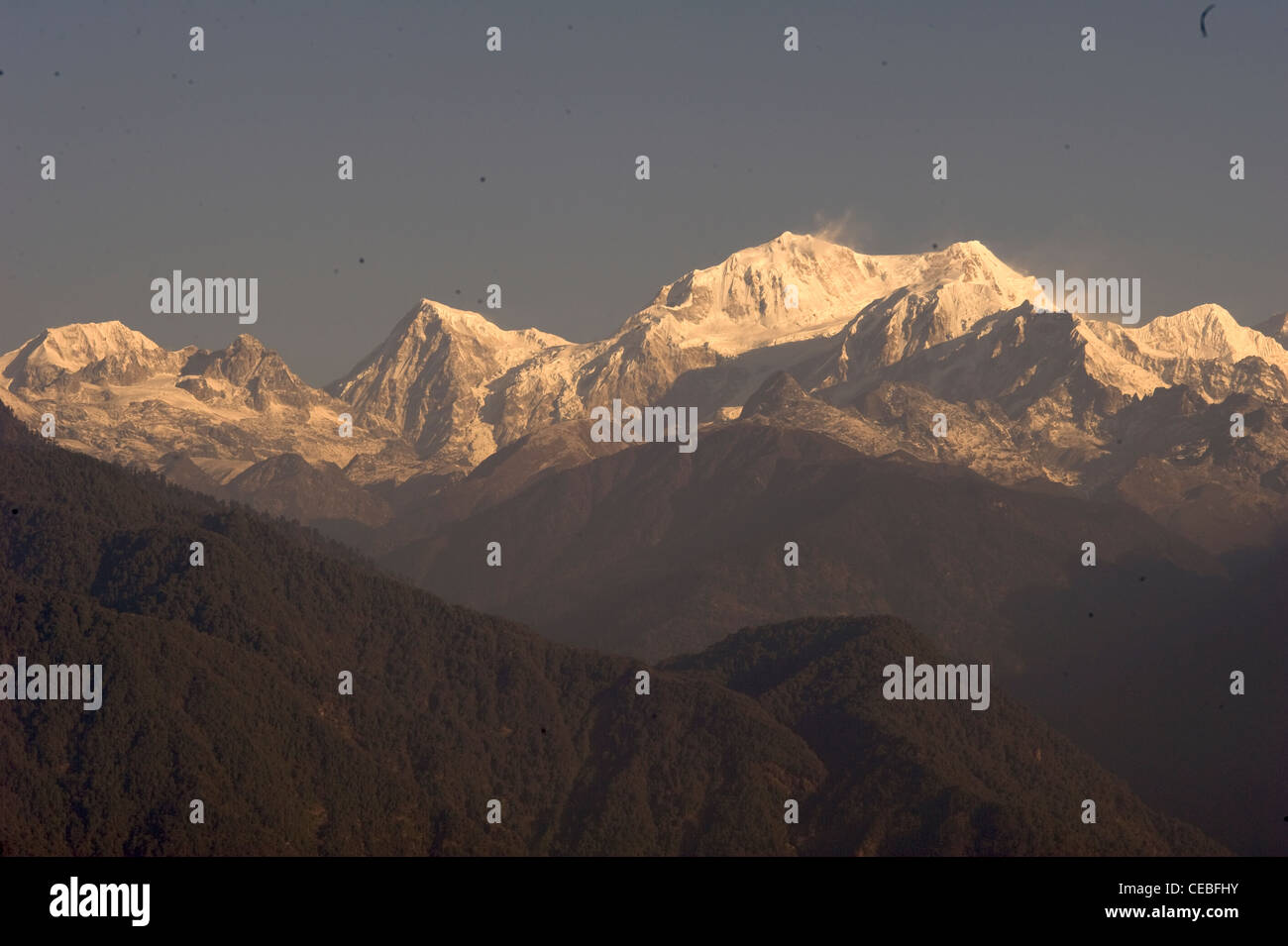 Dzonga hi-res stock photography and images - Alamy